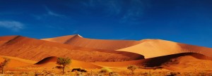 Namib Dunes- Sossusvlei.com